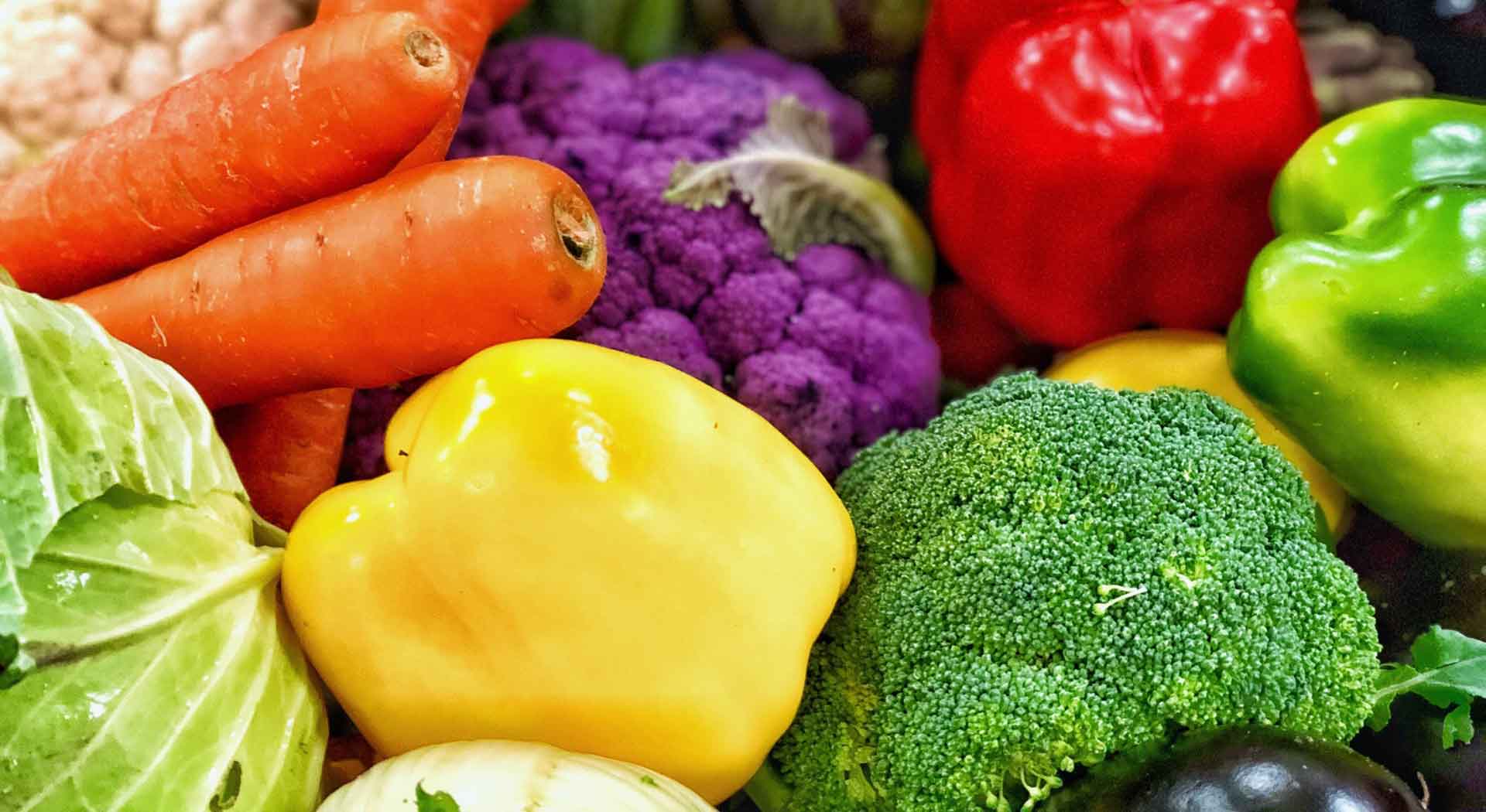 Novel Food Submission | Food Additive Submissions