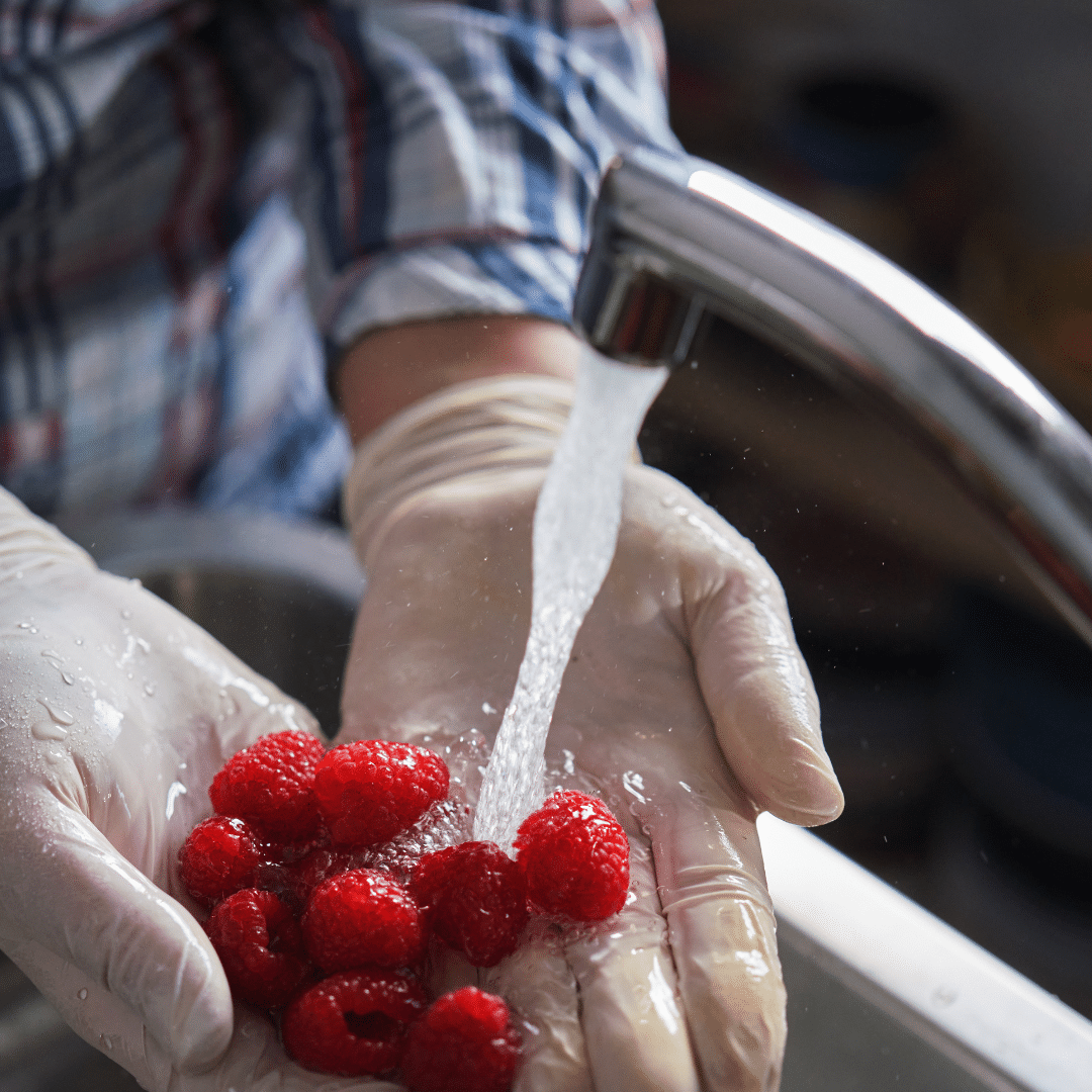 The ultimate Generally Recognized As Safe GRAS Guide Unlocked